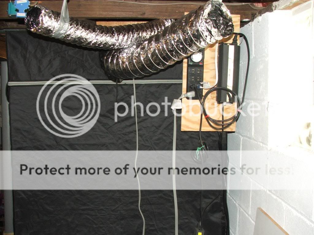 how to properly set up a grow tent - with pictures and explanation ...